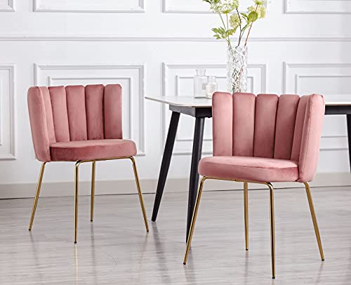 DM Furniture Velvet Dining Chairs Set of 2 Modern Accent Chair Upholstered Side Chair with Gold Metal Legs for Home Kitchen Living Room, Pink