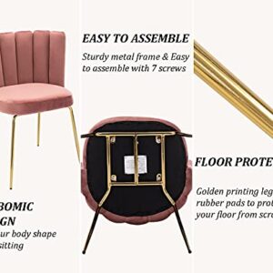 DM Furniture Velvet Dining Chairs Set of 2 Modern Accent Chair Upholstered Side Chair with Gold Metal Legs for Home Kitchen Living Room, Pink