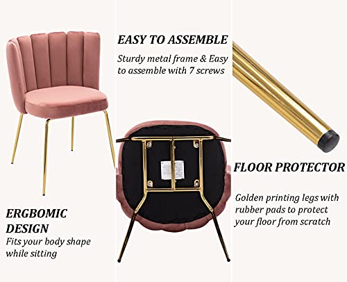 DM Furniture Velvet Dining Chairs Set of 2 Modern Accent Chair Upholstered Side Chair with Gold Metal Legs for Home Kitchen Living Room, Pink