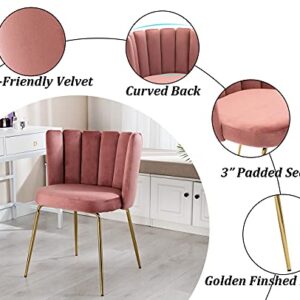 DM Furniture Velvet Dining Chairs Set of 2 Modern Accent Chair Upholstered Side Chair with Gold Metal Legs for Home Kitchen Living Room, Pink