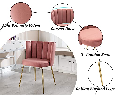 DM Furniture Velvet Dining Chairs Set of 2 Modern Accent Chair Upholstered Side Chair with Gold Metal Legs for Home Kitchen Living Room, Pink