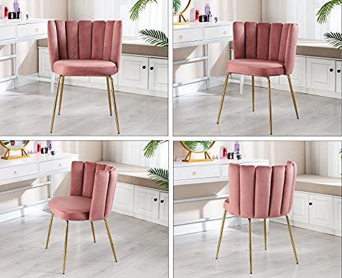 DM Furniture Velvet Dining Chairs Set of 2 Modern Accent Chair Upholstered Side Chair with Gold Metal Legs for Home Kitchen Living Room, Pink