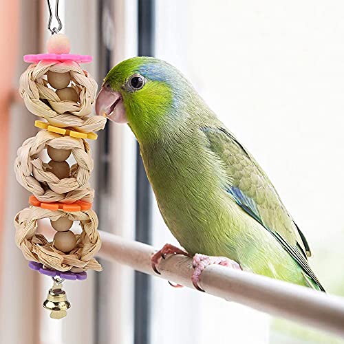 Allazone Bird Parrot Toys, 18 PCS Hanging Bell Pet Bird Cage Hammock Swing Toy Bird Perch Toys Wooden Chewing Toy for Conures, Love Birds, Small Parakeets Cockatiels, Macaws (2)