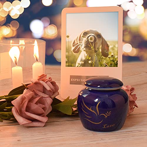 Yesand Small Urns for Human Ashes, Ceramic Mini Keepsake Cremation Urn, Sharing Personal Funeral Ashes Urn for Human or Pet with This Warm and Loving Mini Cremation Urn