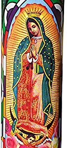 Continental Candle Virgin de Guadalupe 7 Day novena Candle 8'' Pillar in Green Sanctuary Series