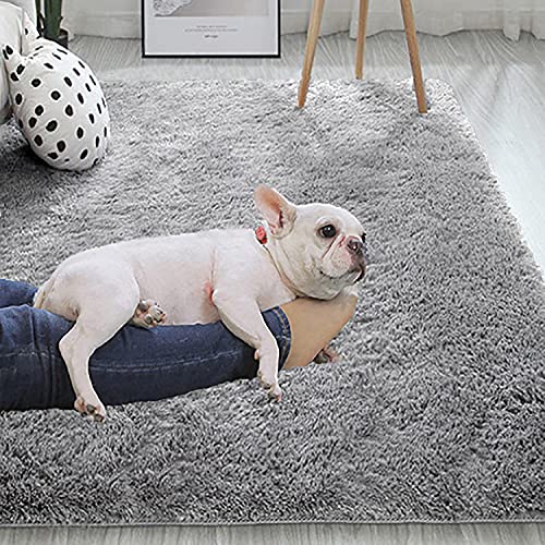 GOKISNE Area Rug for Bedroom, Fluffy Living Room Area Rug, Fluffy Carpet 4' x 5' for Kids Room, Shaggy Plush Rug for Nursery Room, Grey