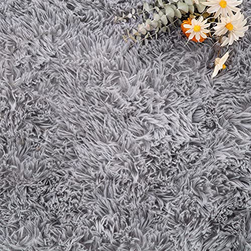 GOKISNE Area Rug for Bedroom, Fluffy Living Room Area Rug, Fluffy Carpet 4' x 5' for Kids Room, Shaggy Plush Rug for Nursery Room, Grey