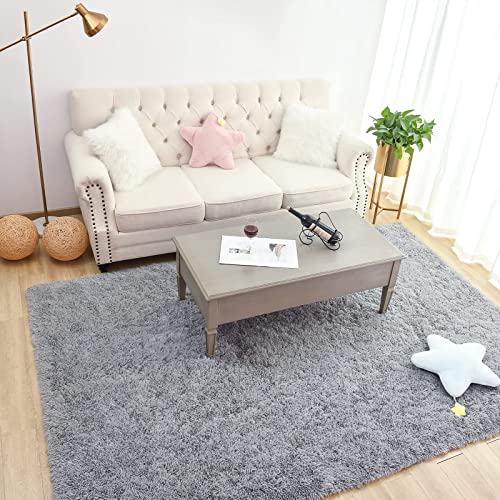 Chicrug Soft Area Rugs for Bedroom Living Room Plush Fluffy Rug 5x8 Feet, Shag Furry Area Rug Carpet Non Shedding for Nursery Children Kids Girls Room Home Decorative, Grey