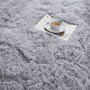 Chicrug Soft Area Rugs for Bedroom Living Room Plush Fluffy Rug 5x8 Feet, Shag Furry Area Rug Carpet Non Shedding for Nursery Children Kids Girls Room Home Decorative, Grey