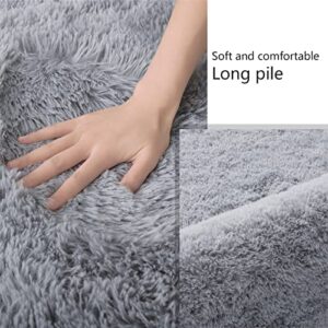 Chicrug Soft Area Rugs for Bedroom Living Room Plush Fluffy Rug 5x8 Feet, Shag Furry Area Rug Carpet Non Shedding for Nursery Children Kids Girls Room Home Decorative, Grey