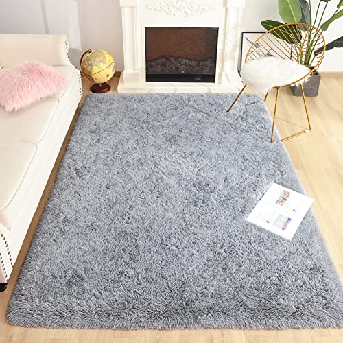 Chicrug Soft Area Rugs for Bedroom Living Room Plush Fluffy Rug 5x8 Feet, Shag Furry Area Rug Carpet Non Shedding for Nursery Children Kids Girls Room Home Decorative, Grey