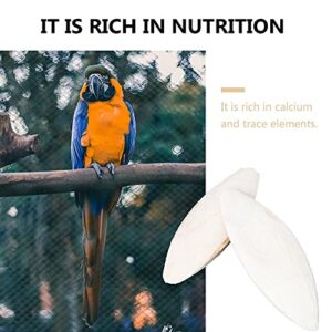 CYW 10pcs Natural Cuddle Bone 9-11cm Cuttlefish Bone Parrot Chew Toys Chewing Bird Food Calcium Pick Stone Bird Cuttlebone Toys