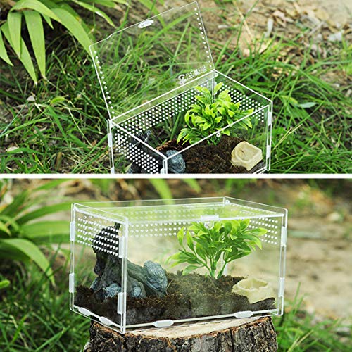 Flyan Acrylic Reptile Feeding Box 3.9x3.15x2.75 inch Transparent Glass Breeding Box Terrarium with 2 Pcs Straight and Curved Tweezers for Pet Insect Spider Crickets Snails Hermit Crabs Lizard