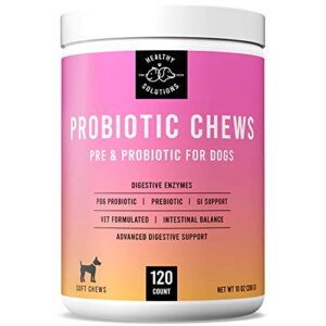 probiotics for dogs - dog probiotic and digestive enzymes - 120 soft chews for digestion support - vet strength pet supplement - made in usa