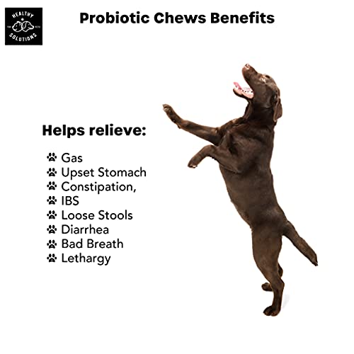 Probiotics for Dogs - Dog Probiotic and Digestive Enzymes - 120 Soft Chews for Digestion Support - Vet Strength Pet Supplement - Made in USA