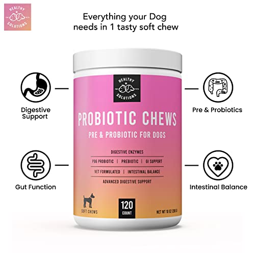 Probiotics for Dogs - Dog Probiotic and Digestive Enzymes - 120 Soft Chews for Digestion Support - Vet Strength Pet Supplement - Made in USA