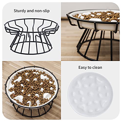 Elevated Slow Feeder Bowl for Cats and Small Dogs with Stand and Water Bowl, Ceramic Raised Cat Puzzle Food Plate, Healthy Eating Anti Vomiting Pet Feeding Dish, Against Bloat, Indigestion, White