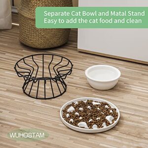 Elevated Slow Feeder Bowl for Cats and Small Dogs with Stand and Water Bowl, Ceramic Raised Cat Puzzle Food Plate, Healthy Eating Anti Vomiting Pet Feeding Dish, Against Bloat, Indigestion, White