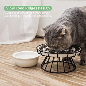 Elevated Slow Feeder Bowl for Cats and Small Dogs with Stand and Water Bowl, Ceramic Raised Cat Puzzle Food Plate, Healthy Eating Anti Vomiting Pet Feeding Dish, Against Bloat, Indigestion, White