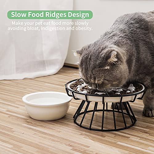 Elevated Slow Feeder Bowl for Cats and Small Dogs with Stand and Water Bowl, Ceramic Raised Cat Puzzle Food Plate, Healthy Eating Anti Vomiting Pet Feeding Dish, Against Bloat, Indigestion, White