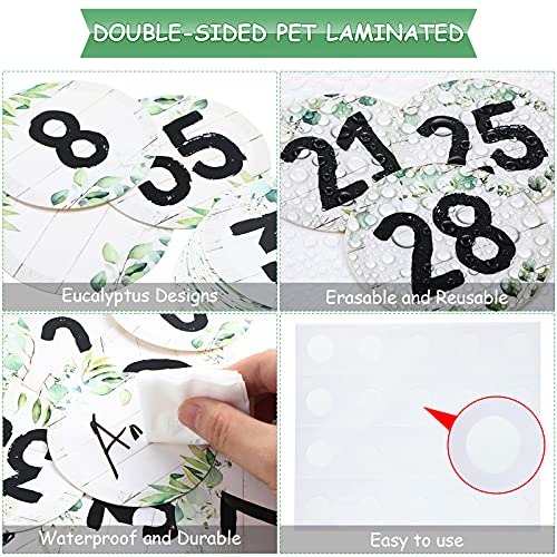 40 Pieces Eucalyptus Laminated Student Numbers Classroom Decorations Cutouts Circle Wood Grain Cutouts Bulletin Board Accents Cutouts with 40 Adhesive Glue Point Dots for Toddler Kids Classroom