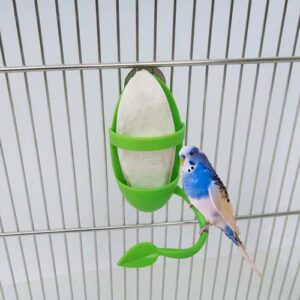 2pcs Bird Feeding Cup Rack Plastic Cuttlebone Holder,Bird Food Holder, Plastic Food Fruit Feeding Perch Stand Holder for Pet Bird Supplies Fruit Vegetable Storage Stands