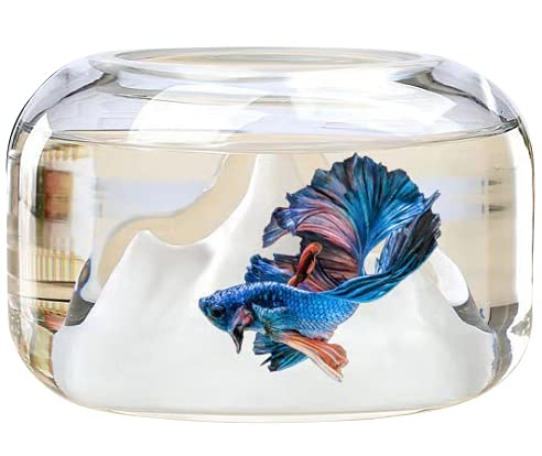 Glass Fishbowl Small Snow Mountain Goldfish Aquarium 5.9" Mini Fish Tank,Cool Design