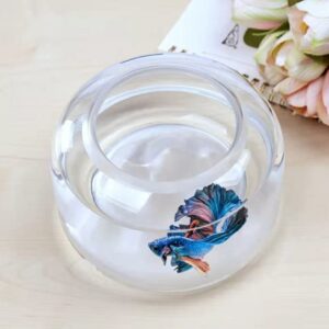 Glass Fishbowl Small Snow Mountain Goldfish Aquarium 5.9" Mini Fish Tank,Cool Design