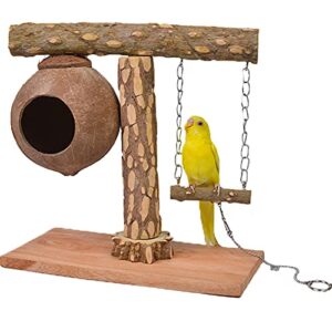 MKubwaa Bird Playstand Platform for Cockatiels, Parrots Playground Stand Perches, Outside Birdcage Playpen Stand with Swing and Ladder, Natural Wood Tabletop Exercise Playgym for Parakeets, Cockatoo