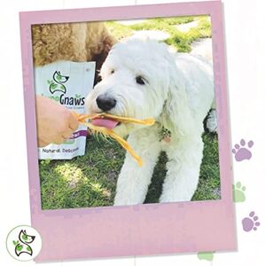 Nature Gnaws Tendons for Large Dogs - Premium Natural Beef Dental Sticks - Long Lasting Tasty Dog Chew Treats for Aggressive Chewers - Rawhide Free