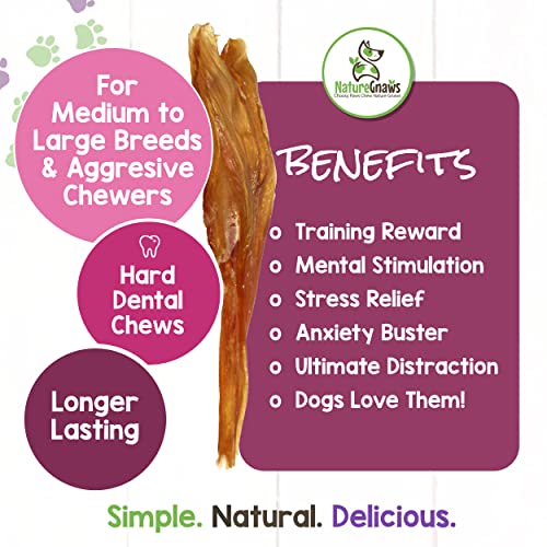 Nature Gnaws Tendons for Large Dogs - Premium Natural Beef Dental Sticks - Long Lasting Tasty Dog Chew Treats for Aggressive Chewers - Rawhide Free