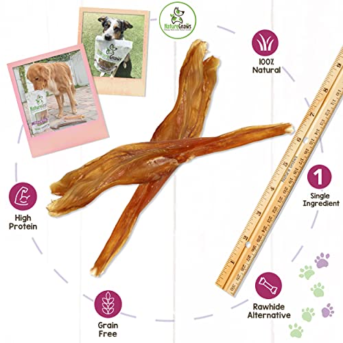 Nature Gnaws Tendons for Large Dogs - Premium Natural Beef Dental Sticks - Long Lasting Tasty Dog Chew Treats for Aggressive Chewers - Rawhide Free