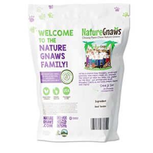 Nature Gnaws Tendons for Large Dogs - Premium Natural Beef Dental Sticks - Long Lasting Tasty Dog Chew Treats for Aggressive Chewers - Rawhide Free