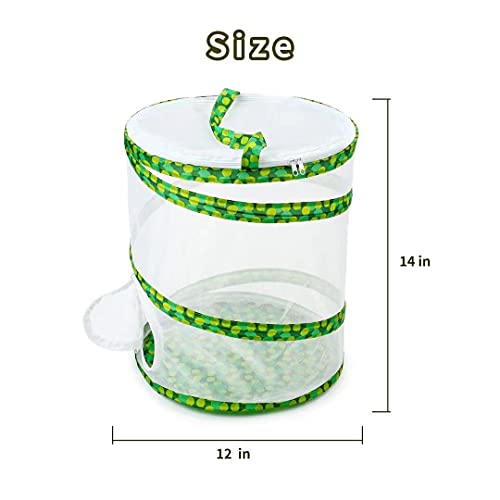 ZFC US Butterfly Habitats Mesh Grasshopper Silkworm Firefly Butterfly and Insect Habitat Cage Butterfly Kit 12 X 14 Inches Pop-up Including 6 Artificial Butterfly Unrestricted Clear Vision