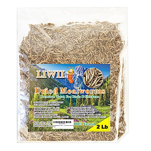 LIWII Dried Mealworms 2 LBS-100% Natural Non GMO High Protein Mealworms for Chicken-Bulk Mealworms for Wild Birds, Chicken Treats, Hamster Food, Gecko Food, Turtle Food, Lizard Food