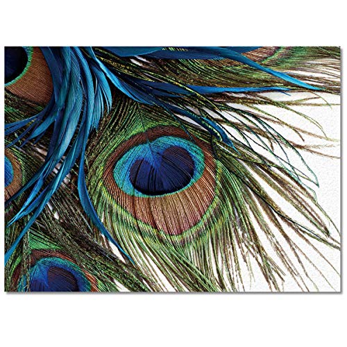 Area Rug for Bedroom Living Room- Elegant Peacock Feather Abstract 3D Painting Art Contemporary Floor Carpet Comfy Runner Rug Nursery Playmats Home Decor Mat, 5'x8'