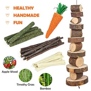 Sofier Rabbit Toys Bunny Toys Guinea Pig Toys Natural Timothy Hay Sticks Hamster Toys for Teeth Handmade Rabbit Chews and Treats Apple Wood Sticks Chinchilla Rat