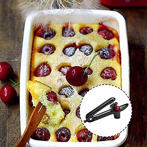 Fruit & Vegetable Pitters,Cherrys Pitter Tool,Pressable Labor-Saving ABS Cherrys Olive Remover Tool,Suitable for Cherrys, Jujube,Grape,Olive,Hawthorn,Black