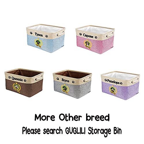 Custom Name Collapsible Dog Toy Storage Basket Bin World's Best Dog Phalene Papillon Dog Foldable Pet Toy Box Closet Shelf Baskets Organizer for Bedroom Home Dog Cat with Handles Brown