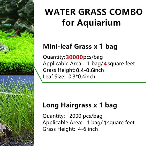 Live Aquarium Plant Seeds Combo,Fresh Water Grass Plants Mini Leaf & Longhair Grass Small Pearl for Fish Tank Terrarium Aquatic Dwarf Carpet Decor Decoration 6 aab (1M1L)