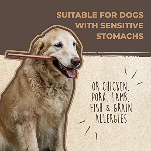 Mighty Paw Naturals Bully Sticks | All-Natural Protein-Rich Dog Chews from Grass-Fed Beef. Single-Ingredient Pet Treat for Dental Health. Keeps Chewers Busy