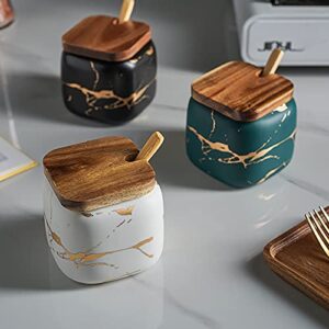 Marble Ceramics Sugar Bowl Ceramic Seasoning Box Ceramic Spice Jars Porcelain Condiment Pots with Lid and Spoon (White)