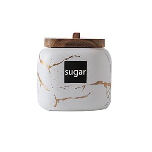 Marble Ceramics Sugar Bowl Ceramic Seasoning Box Ceramic Spice Jars Porcelain Condiment Pots with Lid and Spoon (White)