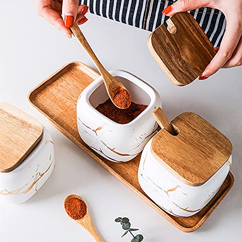 Marble Ceramics Sugar Bowl Ceramic Seasoning Box Ceramic Spice Jars Porcelain Condiment Pots with Lid and Spoon (White)