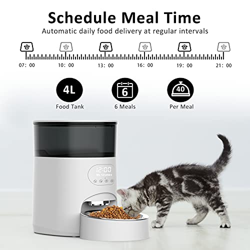 GHG Automatic Cat Feeder, 4L Auto Pet Food Dispenser with Stainless Steel Bowl, Desiccant Bag, Programmable Portion Timed Control 1-6 Meals Per Day, 10s Voice Recorder for Small Medium Cats and Dogs