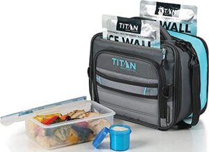 arctic zone titan deep freeze lunch bag grey