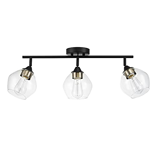 Globe Electric 59619 Harrow 3-Light Track Lighting, Matte Black, Antique Brass Accents, Clear Glass Shades, Bulbs Included