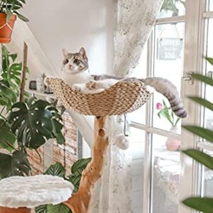 Wooden Cat Tree Tower, Modern Single Branch Cat Condo, Wood Cat Tree, Cat Climbing, Furniture for Cat, Cat Lover Gift, Cat Furniture,Cat Gift by MAU LIFESTYLE (Alpine White)