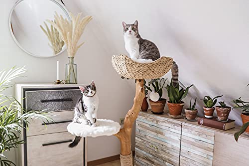 Wooden Cat Tree Tower, Modern Single Branch Cat Condo, Wood Cat Tree, Cat Climbing, Furniture for Cat, Cat Lover Gift, Cat Furniture,Cat Gift by MAU LIFESTYLE (Alpine White)