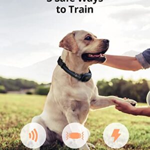 eufy Pet Dog Training Collar 2-Pack, 2 Rechargeable Training Collars with Remote, 3 Safe Training Modes, Soft Silicone Connectors, Safety Lock Switch, IPX7 Waterproof, Large Remote Range